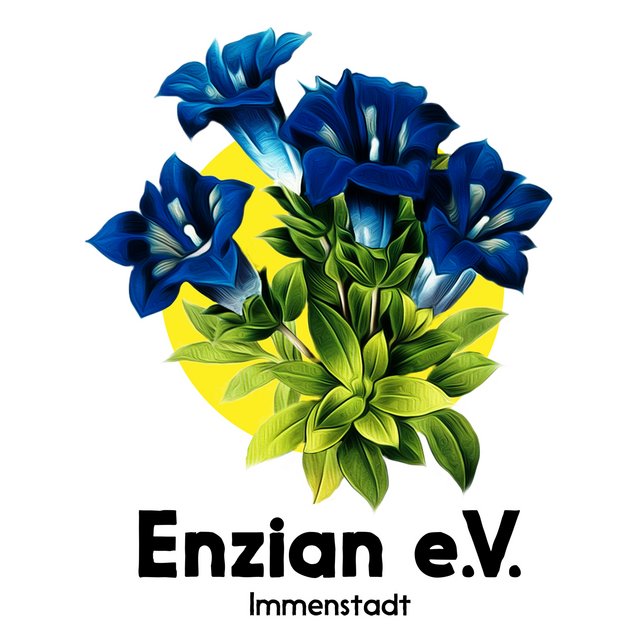 Vereine & Verbände - Stadt Immenstadt